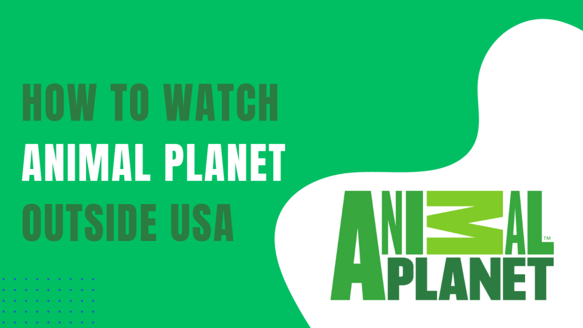How To Watch Animal Planet Outside The USA | AngelVPN Blog